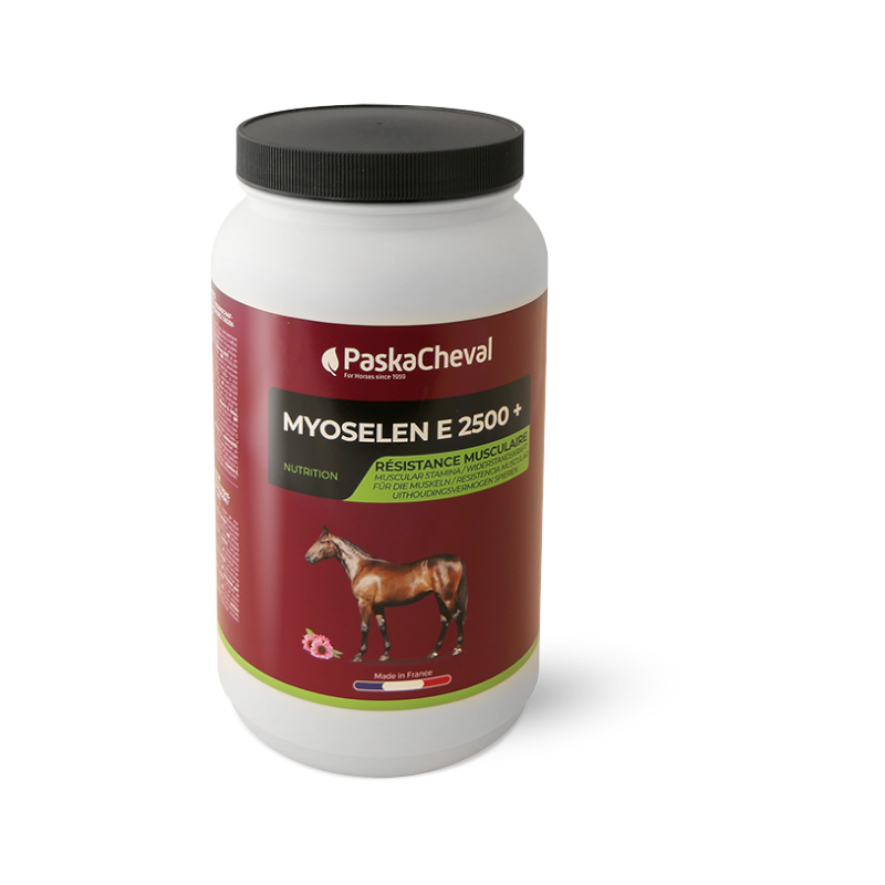 Complément alimentaire musculaire Myoselen E 2500 plus Paskacheval | OHLALA CARE