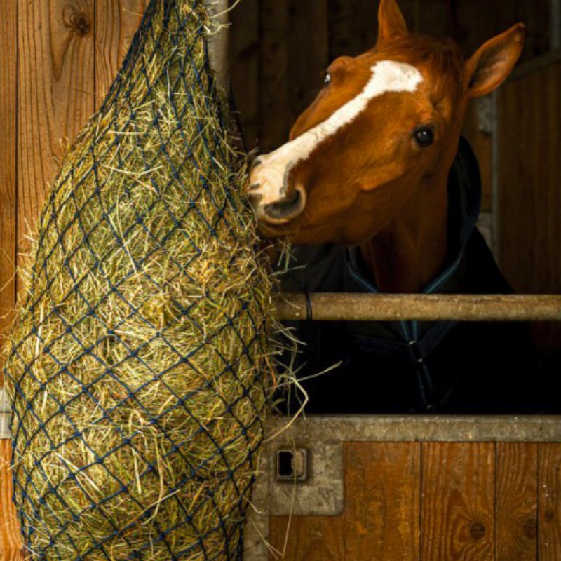 Filet à foin long marine Hippotonic | OHLALA
